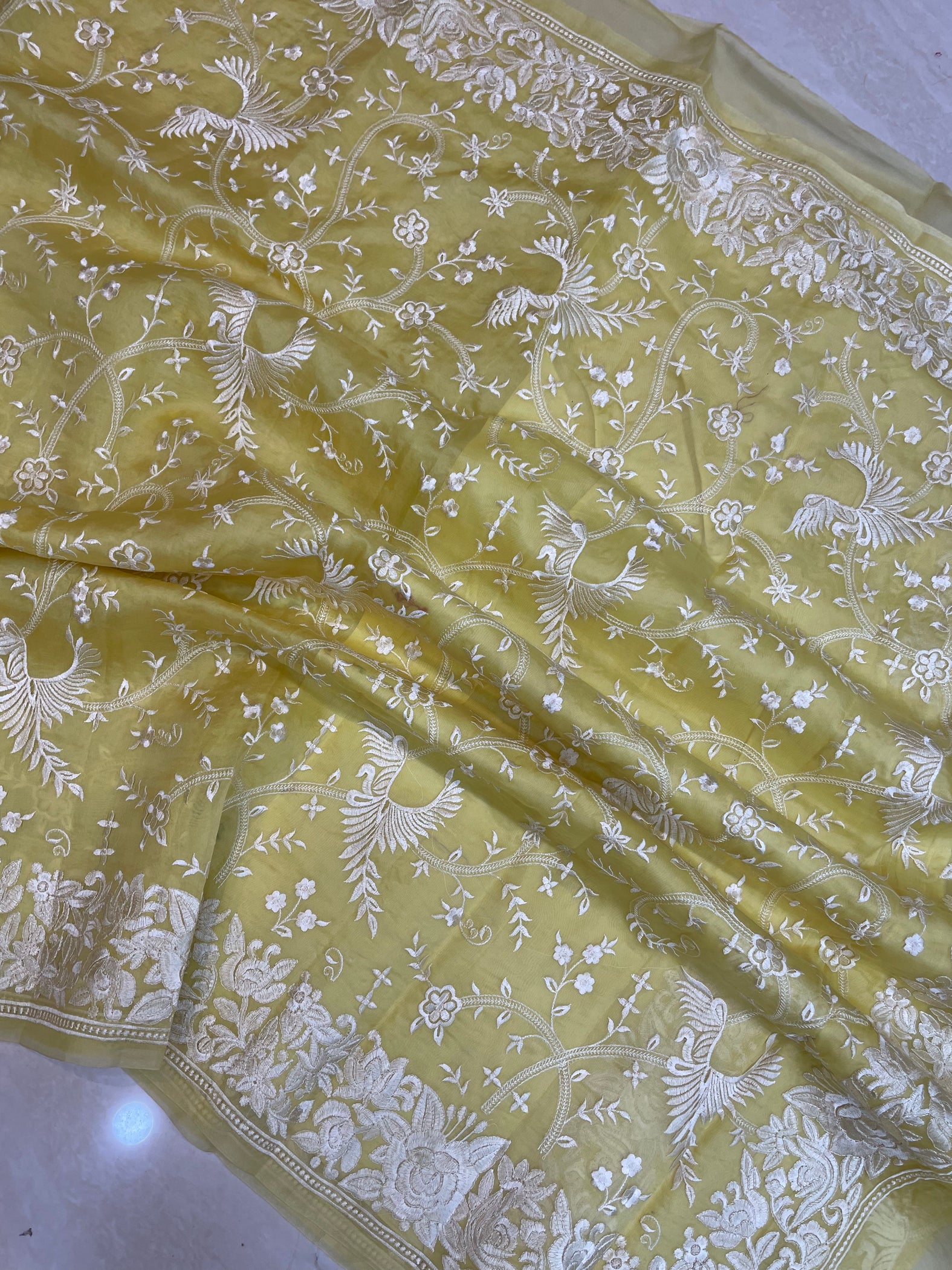 Pure Organza Chikankari Handloom Banarasi Saree | The Handlooms