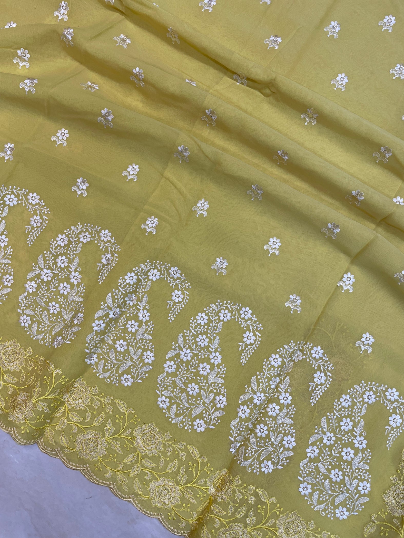 Pure Georgette Chikankari Handloom Banarasi Saree | The Handlooms