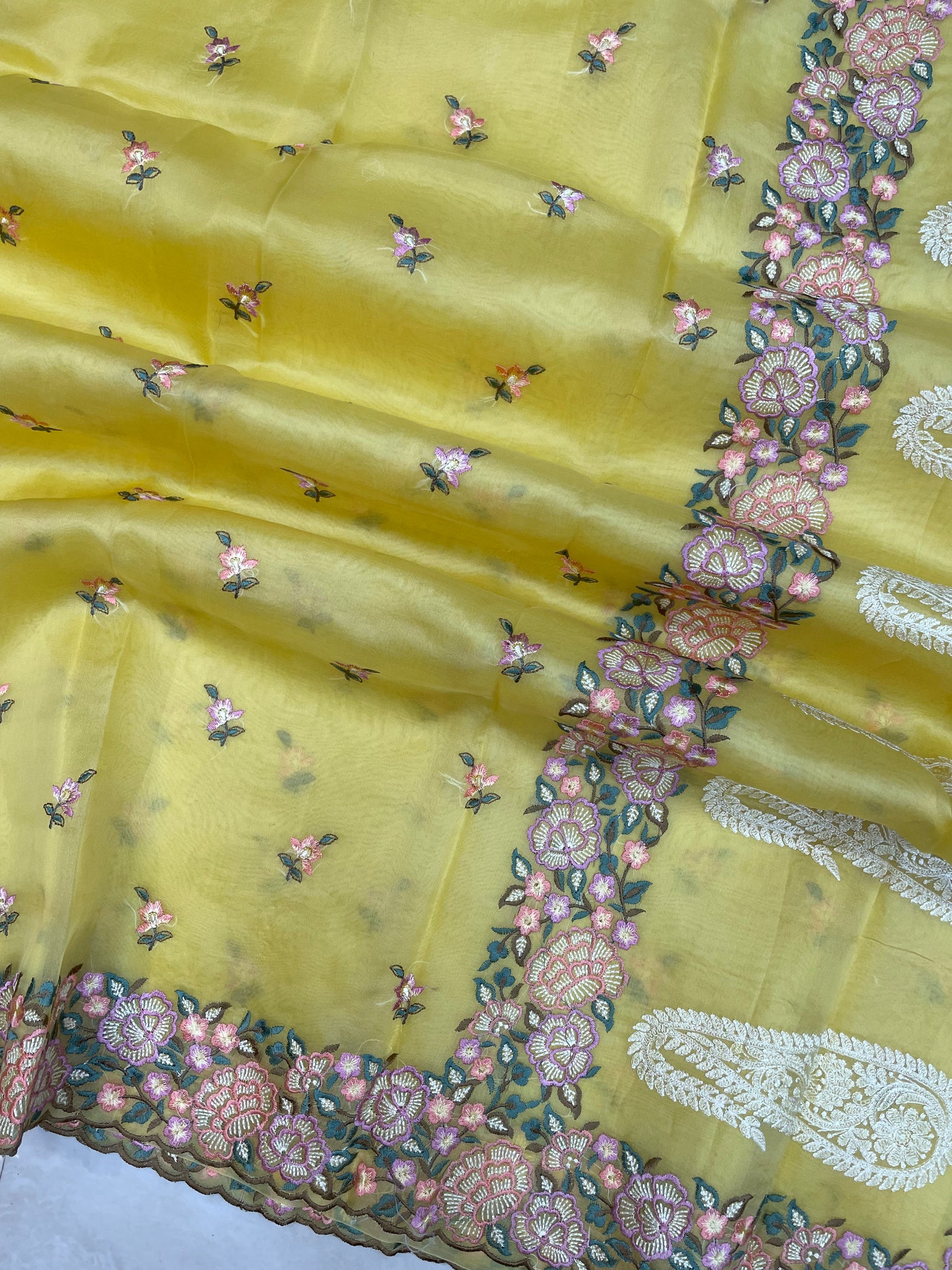 Pure Organza Chikankari Handloom Banarasi Saree | The Handlooms
