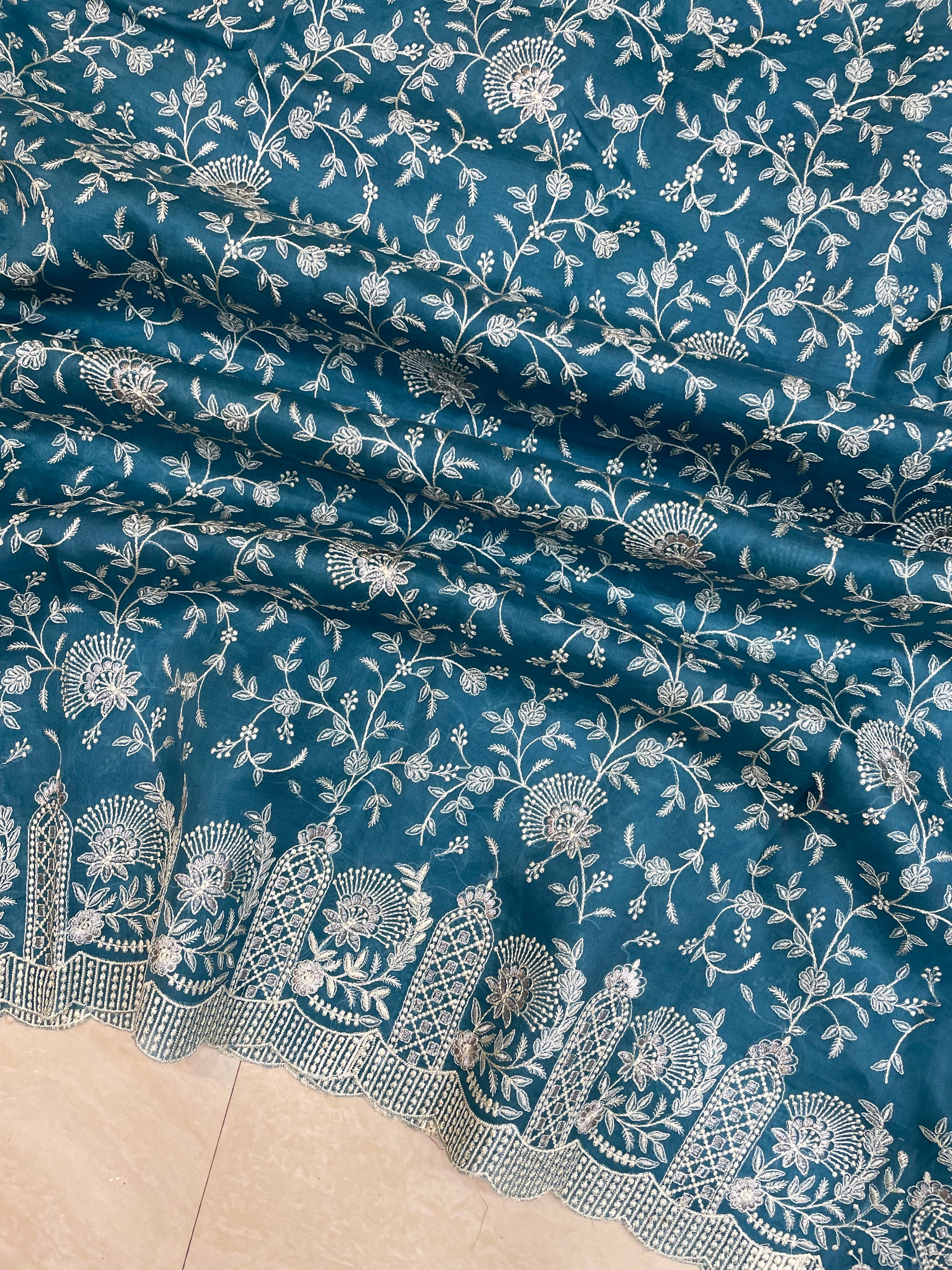 Pure Organza Chikankari Handloom Banarasi Saree — The Handlooms