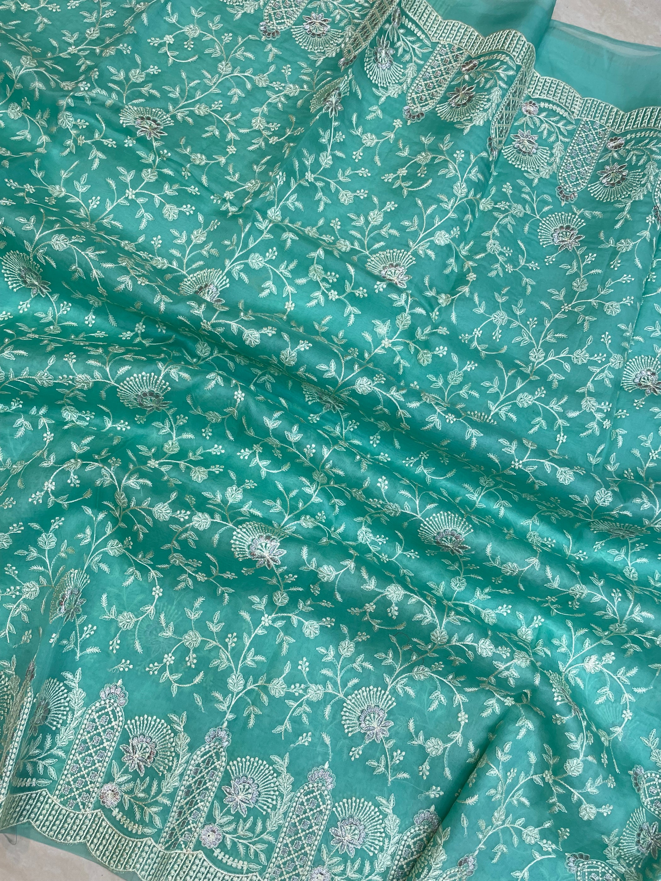Pure Organza Chikankari Handloom Banarasi Saree | The Handlooms