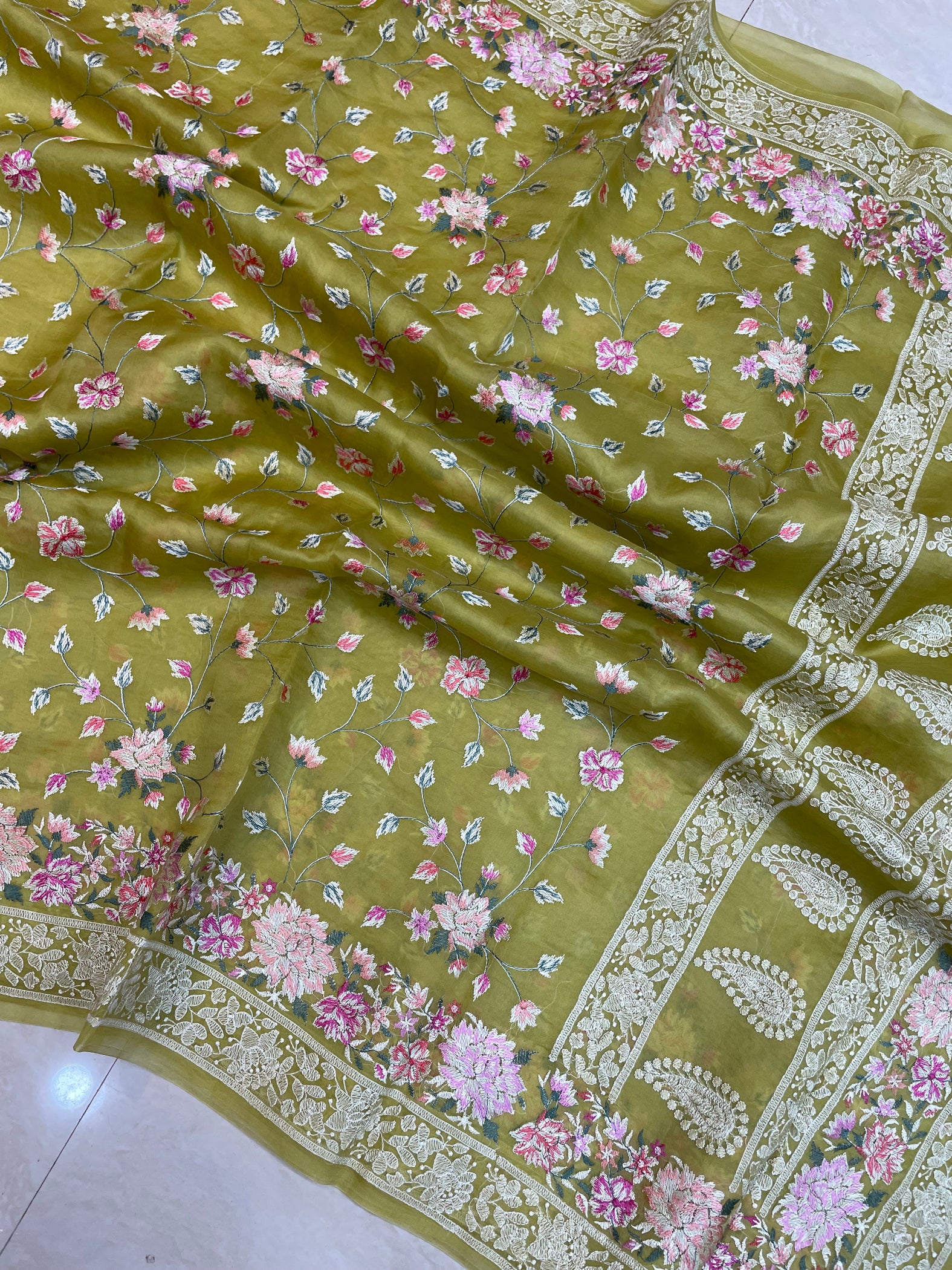 Pure Organza Chikankari Handloom Banarasi Saree — The Handlooms